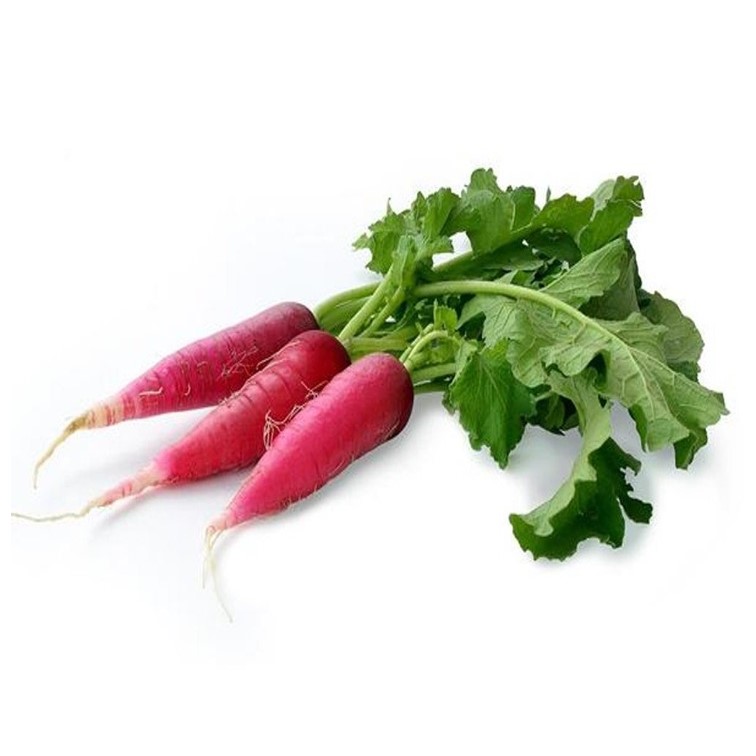 Red Radish
