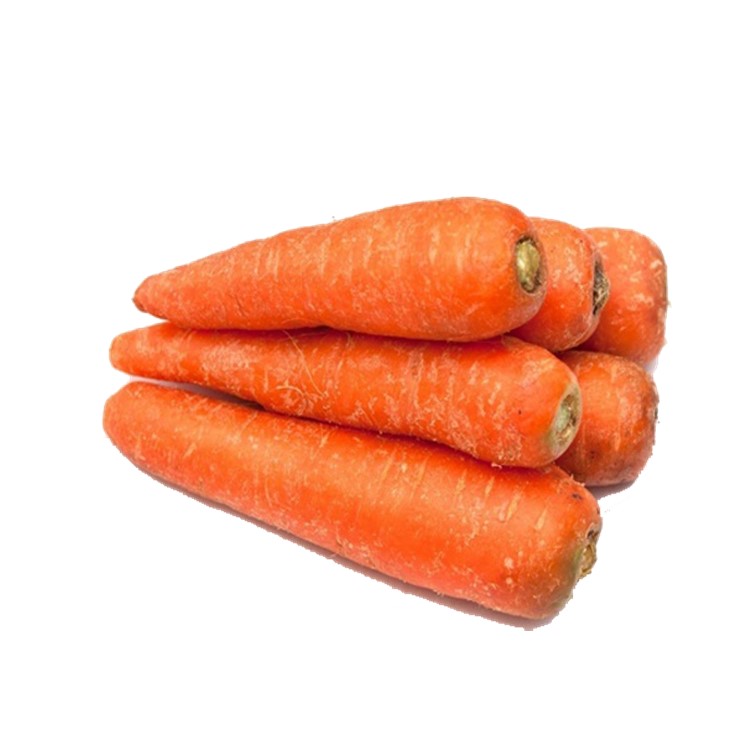 Carrot