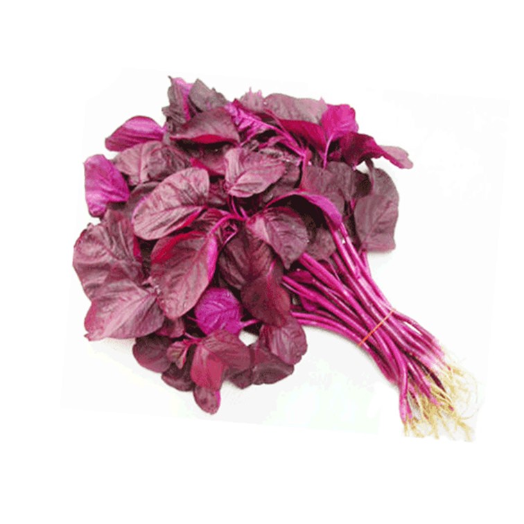 Red Amaranth