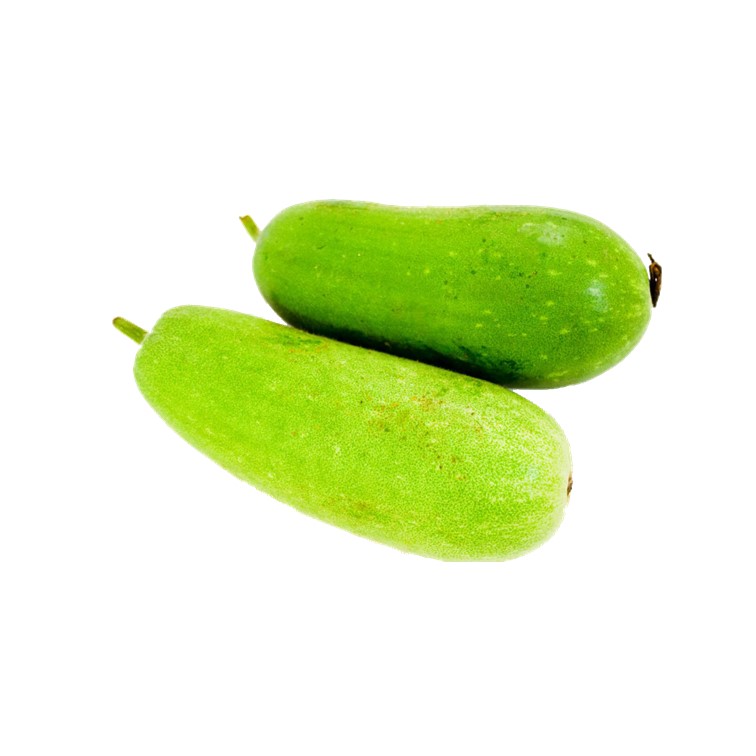 Wax Gourd