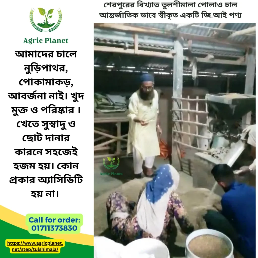 Order Tulshimala Rice - Agric Planet