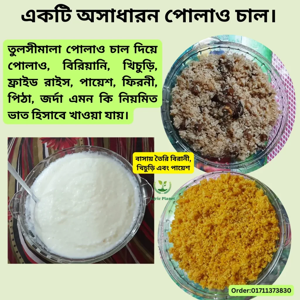 Order Tulshimala Rice - Agric Planet