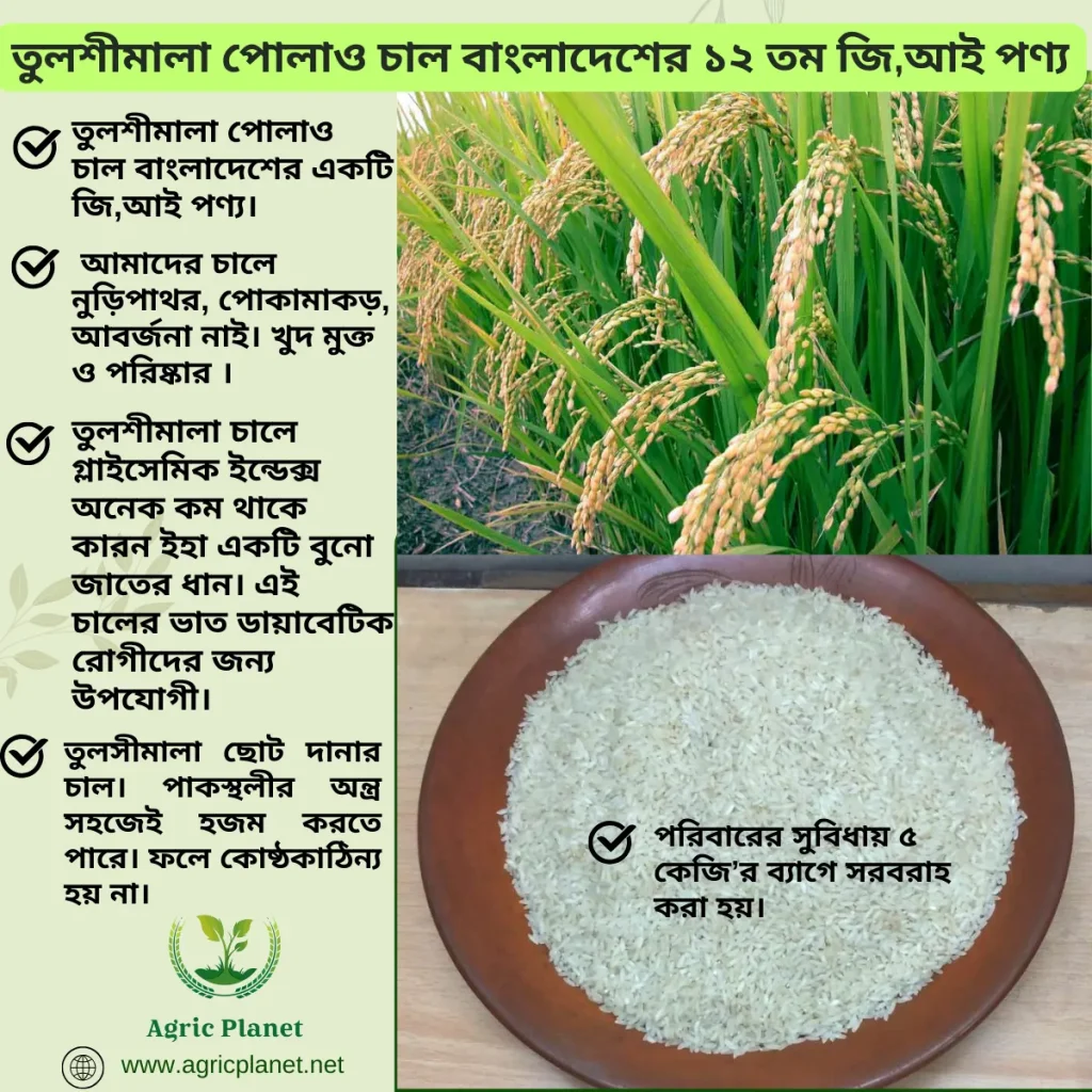 Order Tulshimala Rice - Agric Planet